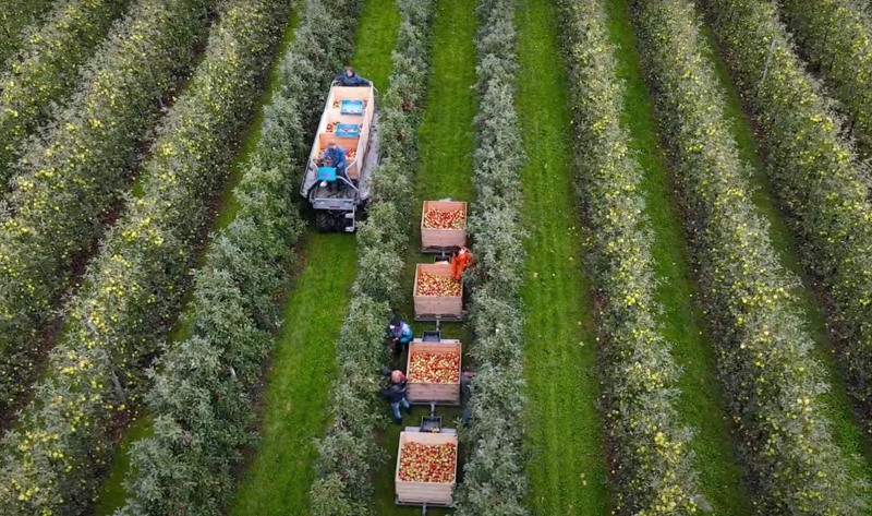 Fruit Storage - ControlTherm
